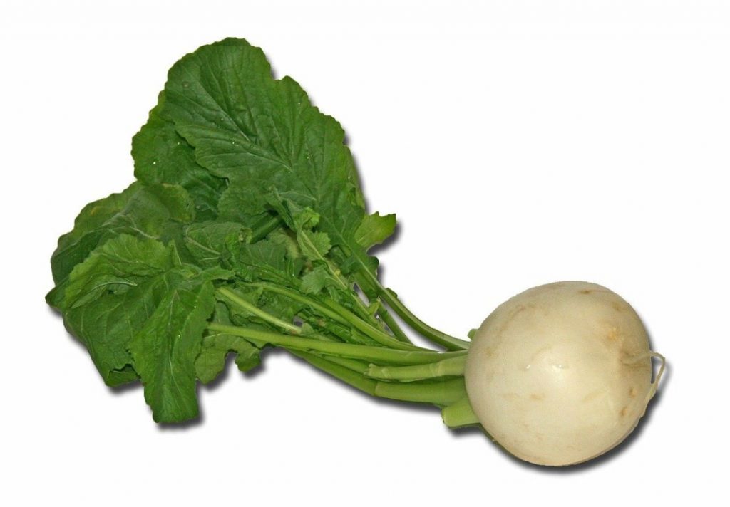 TURNIPS BUNCH - Three Brothers Fresh